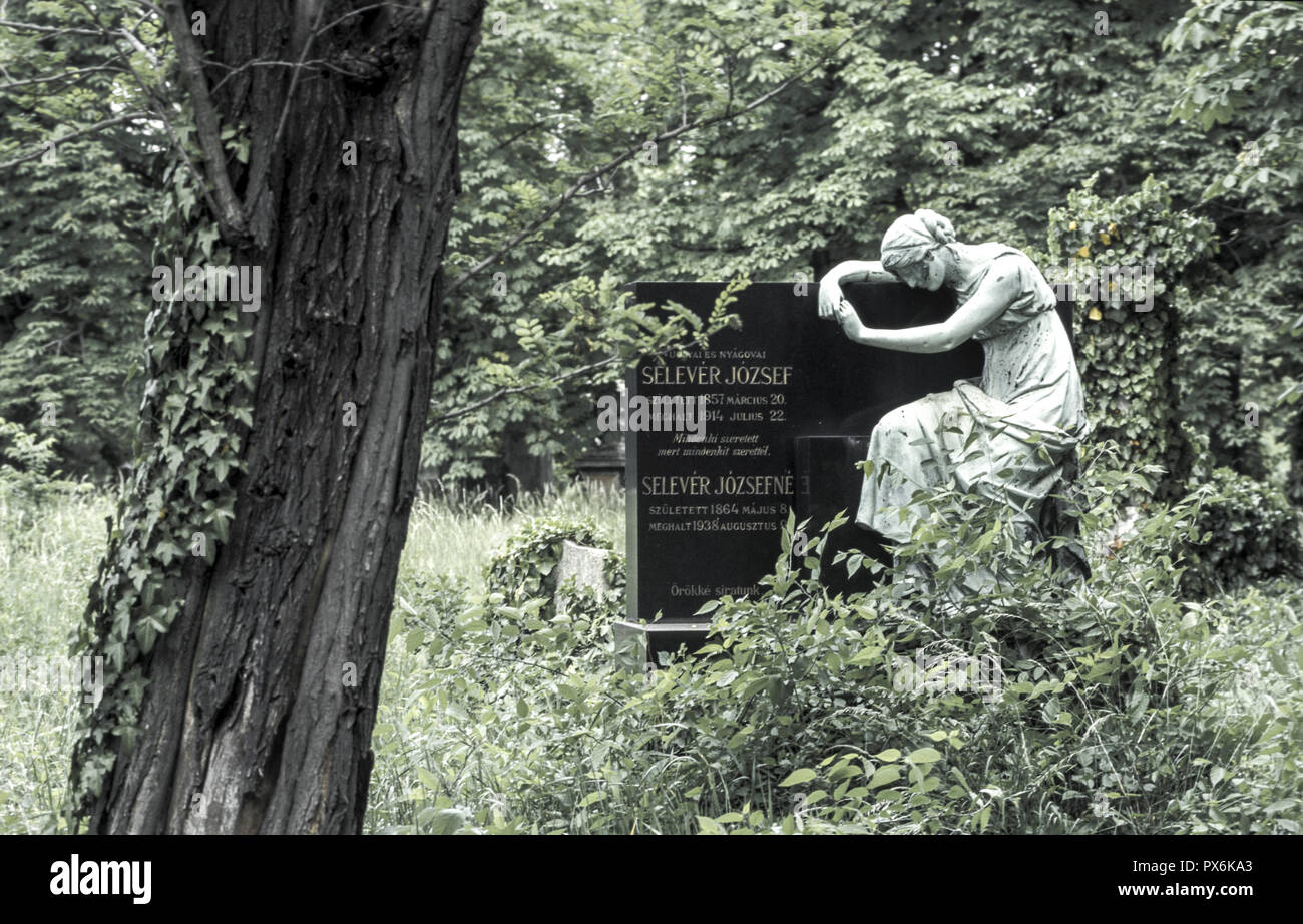 Budapest, cemetery, Hungary Stock Photo - Alamy