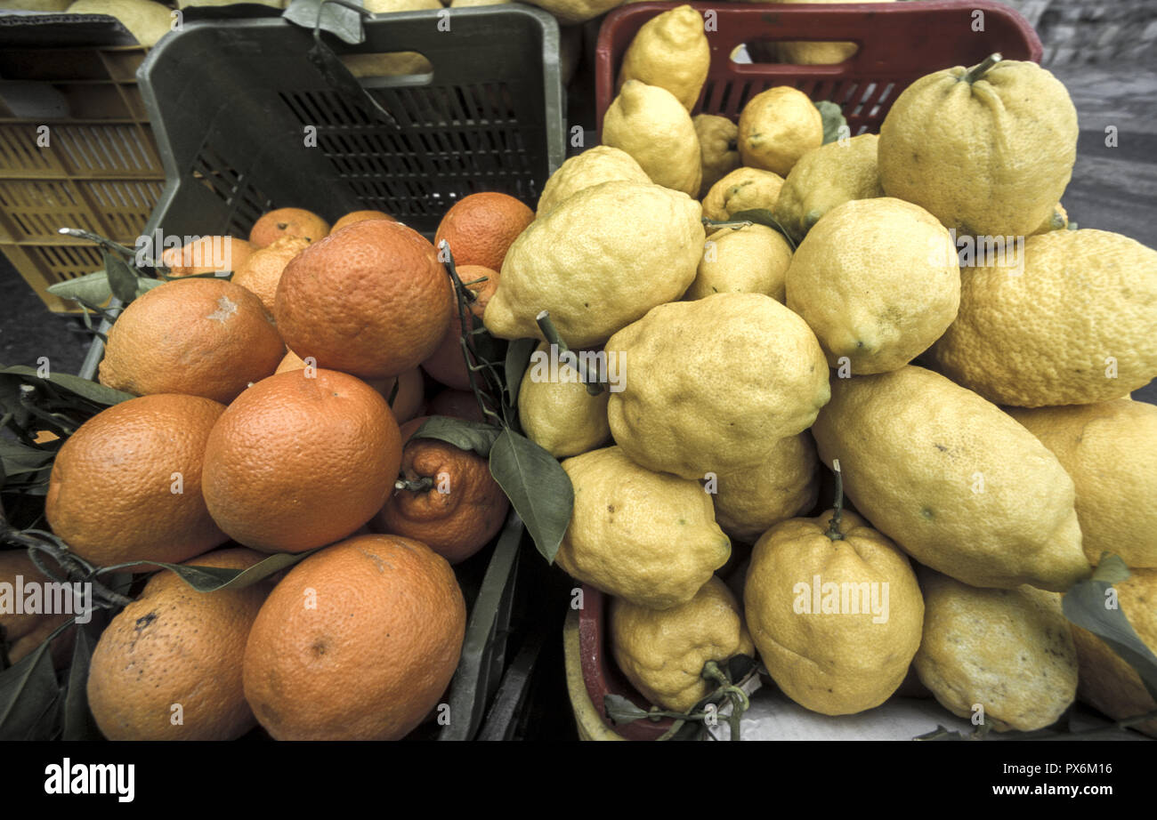 Citrus fruits, Italy, Campania, Amalfitana, Positano Stock Photo - Alamy