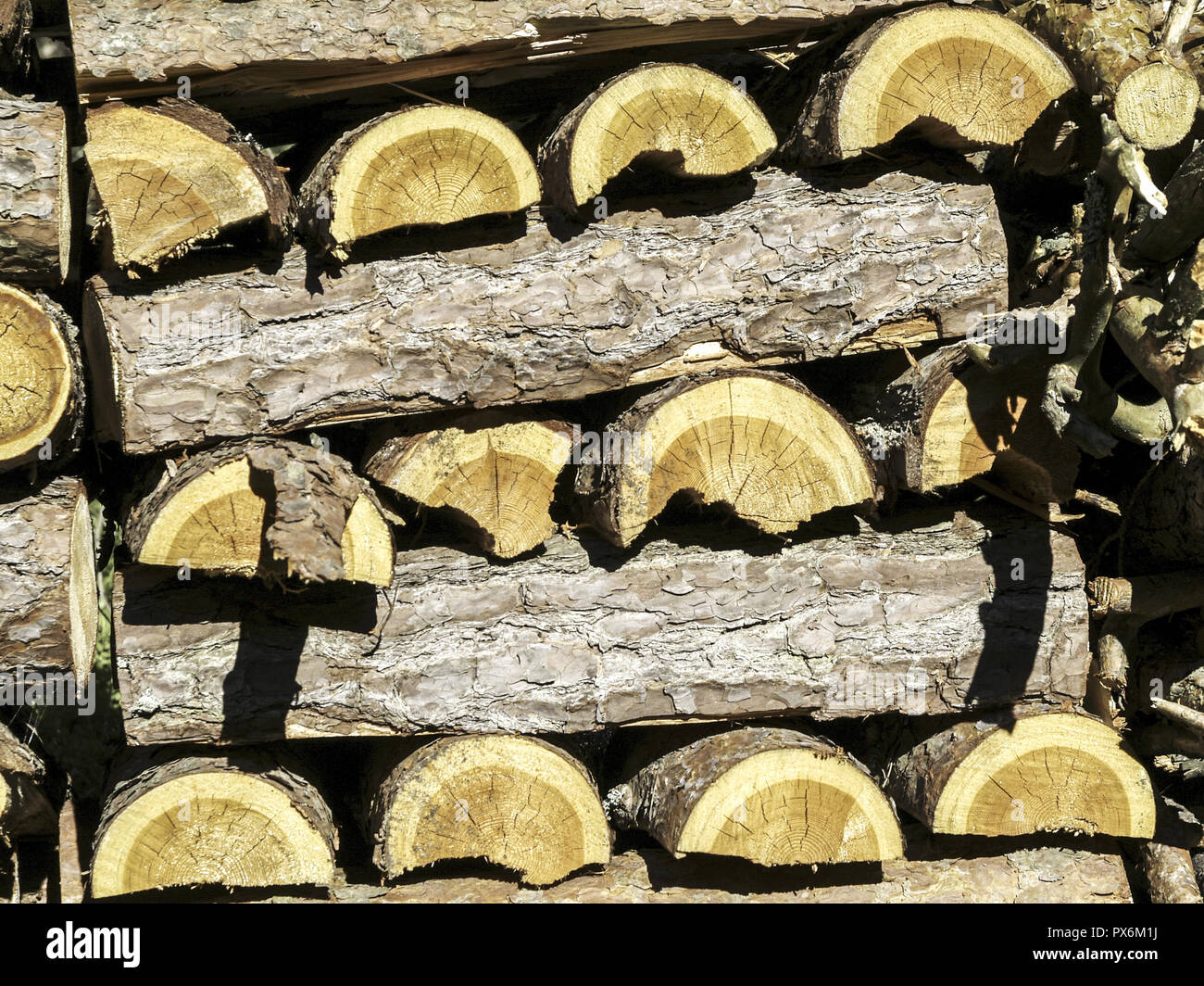 Pile of wood Stock Photo - Alamy