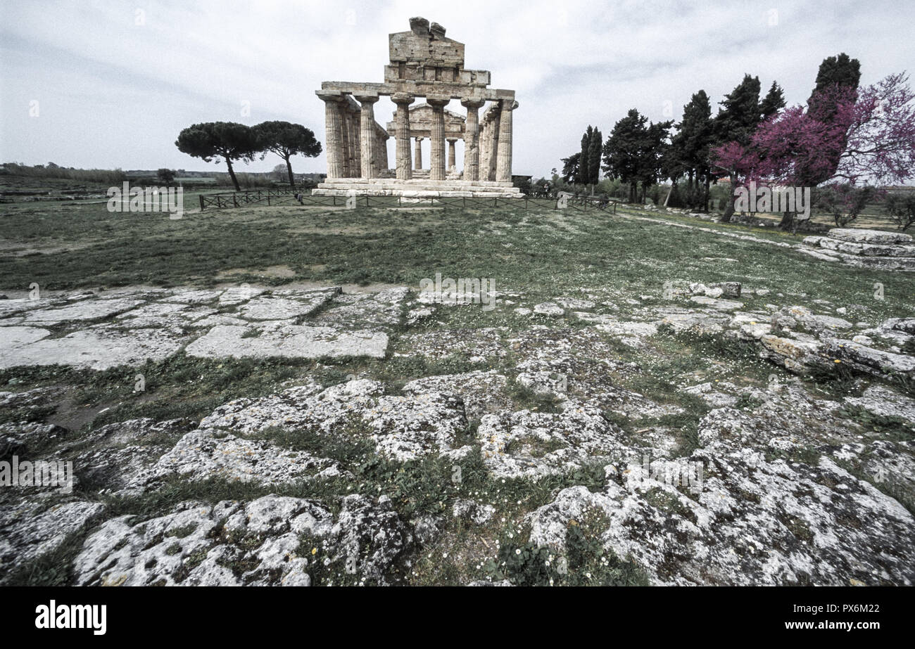UNESCO World Heritage, Paestum, Italy, Campania Stock Photo - Alamy