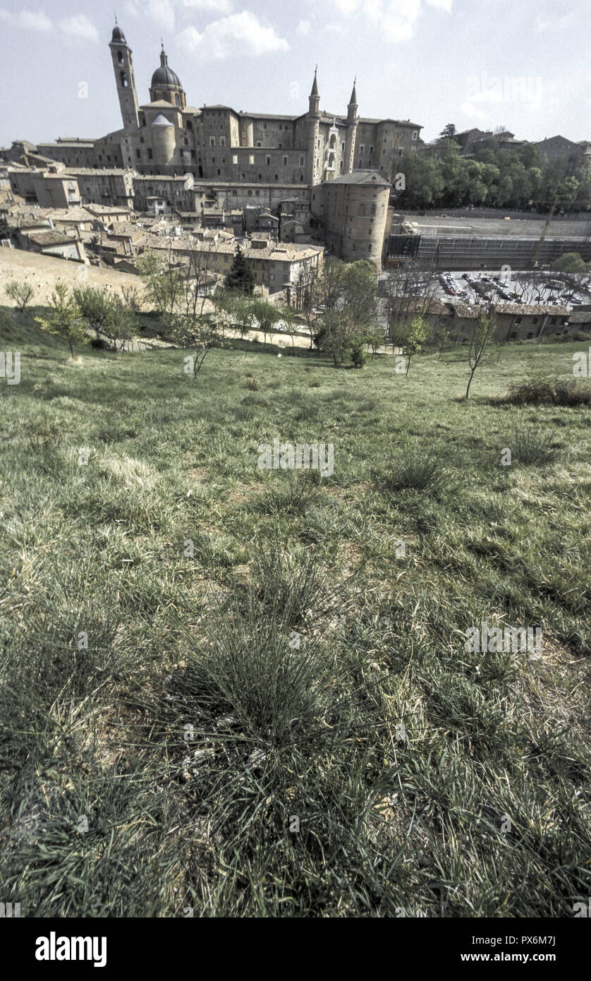 UNESCO World Heritage City, Urbino, Italy, Marken Stock Photo - Alamy