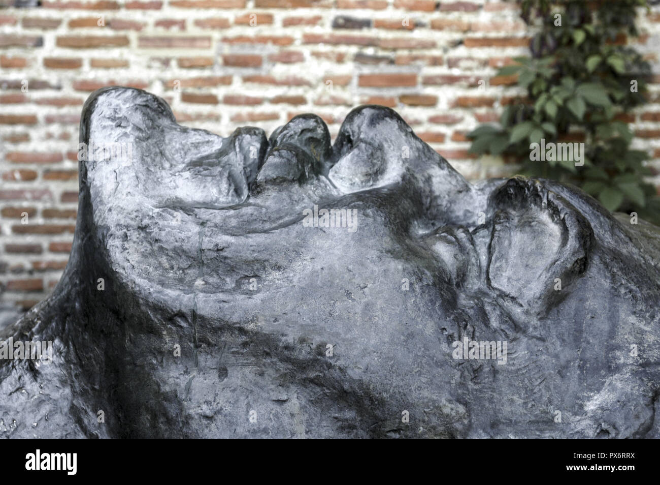 Past communism curiosity end face landmark lenin lenin hi-res stock ...