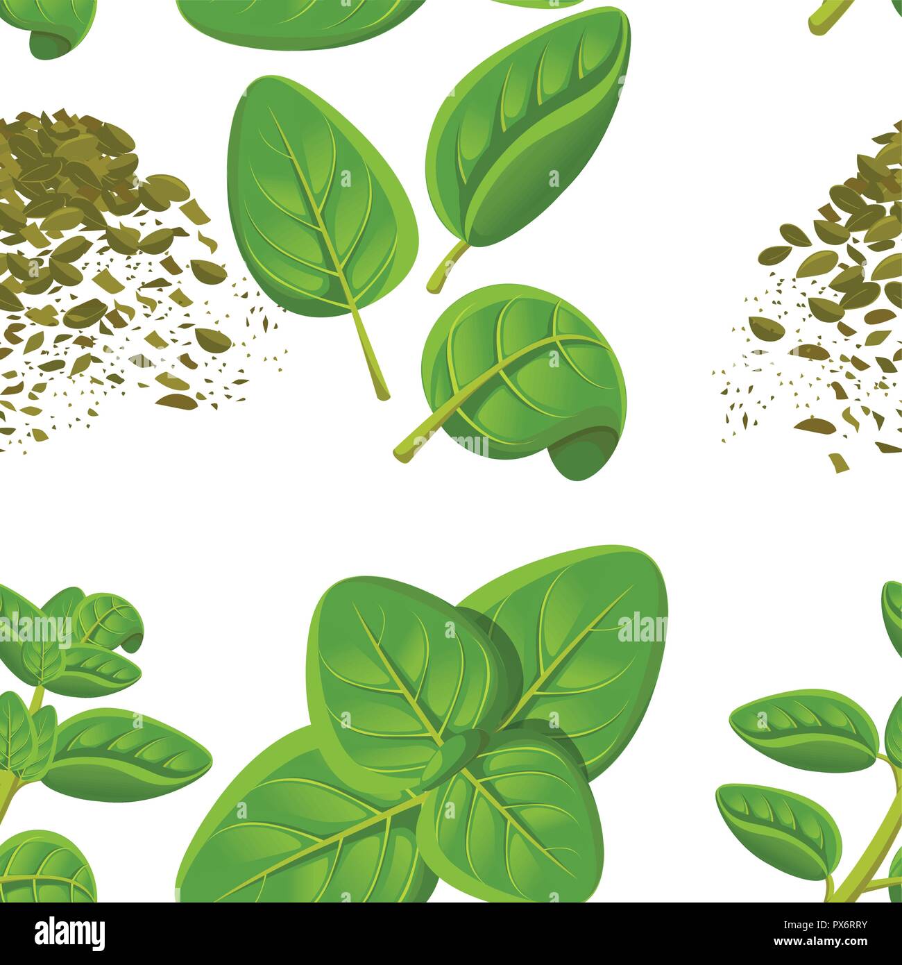 Oregano Leaf Vector