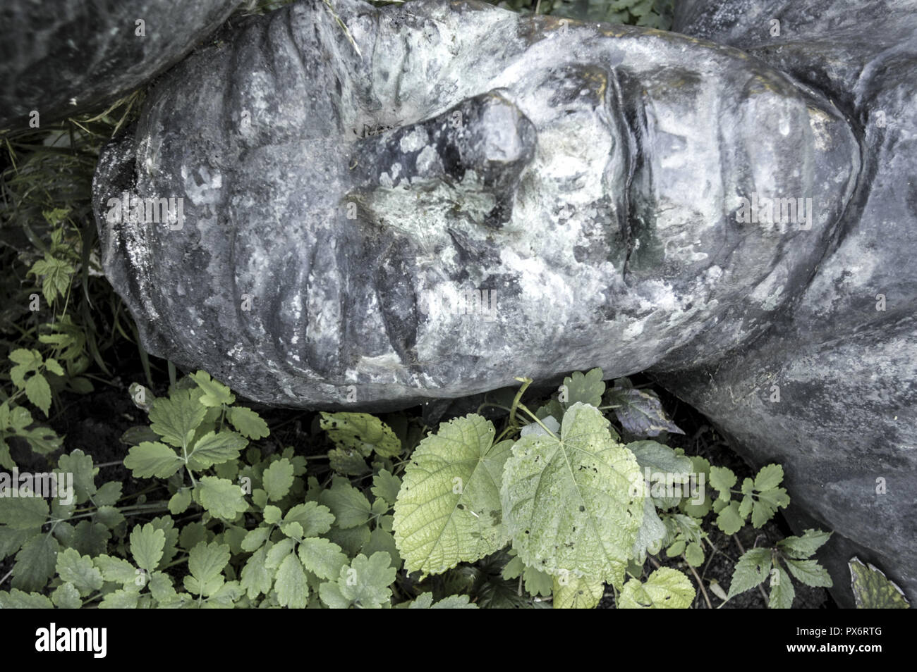Mogosoaia, statue of Petru Groza in backyard, Romania, Bucharest area ...