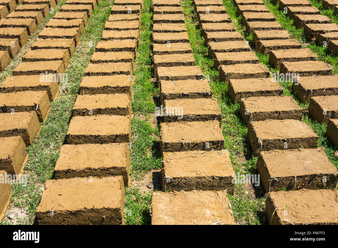 A hand-made bricks from clay and straw to dry in the sun Stock Photo ...