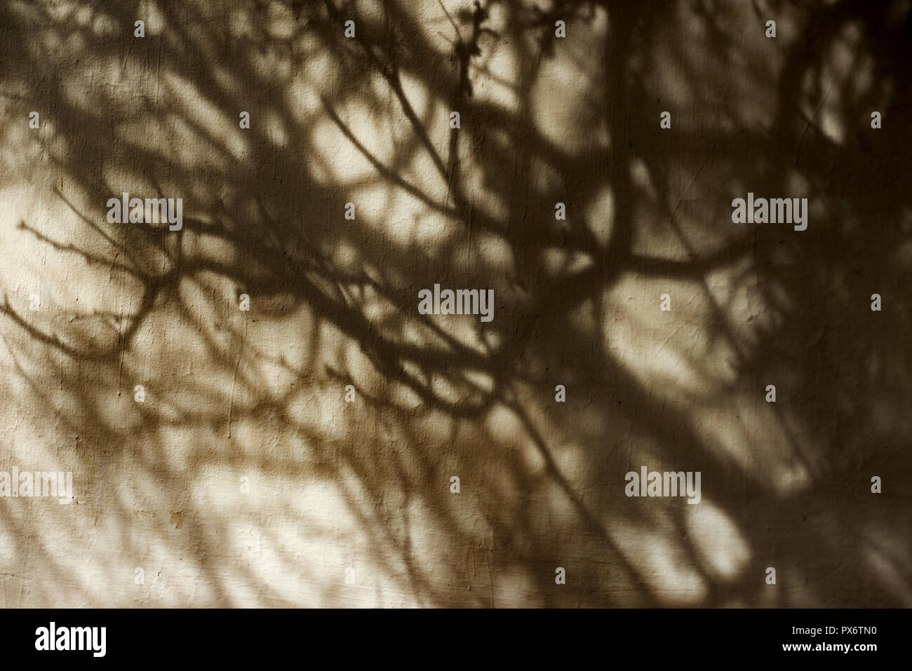 Design projected onto wall hi-res stock photography and images - Alamy