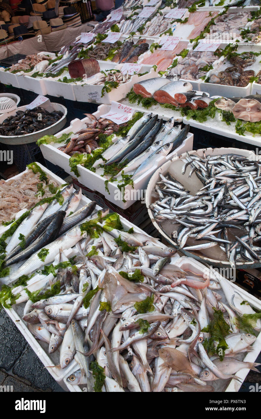 Mediterranean street food hi-res stock photography and images - Alamy