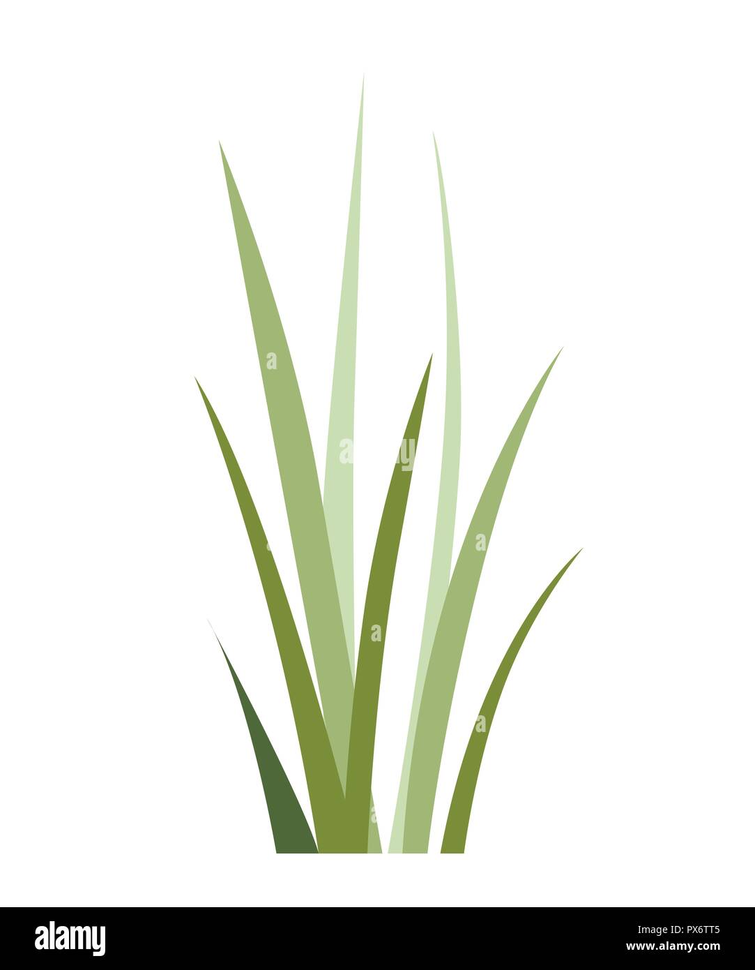 Canola field Stock Vector Images - Alamy