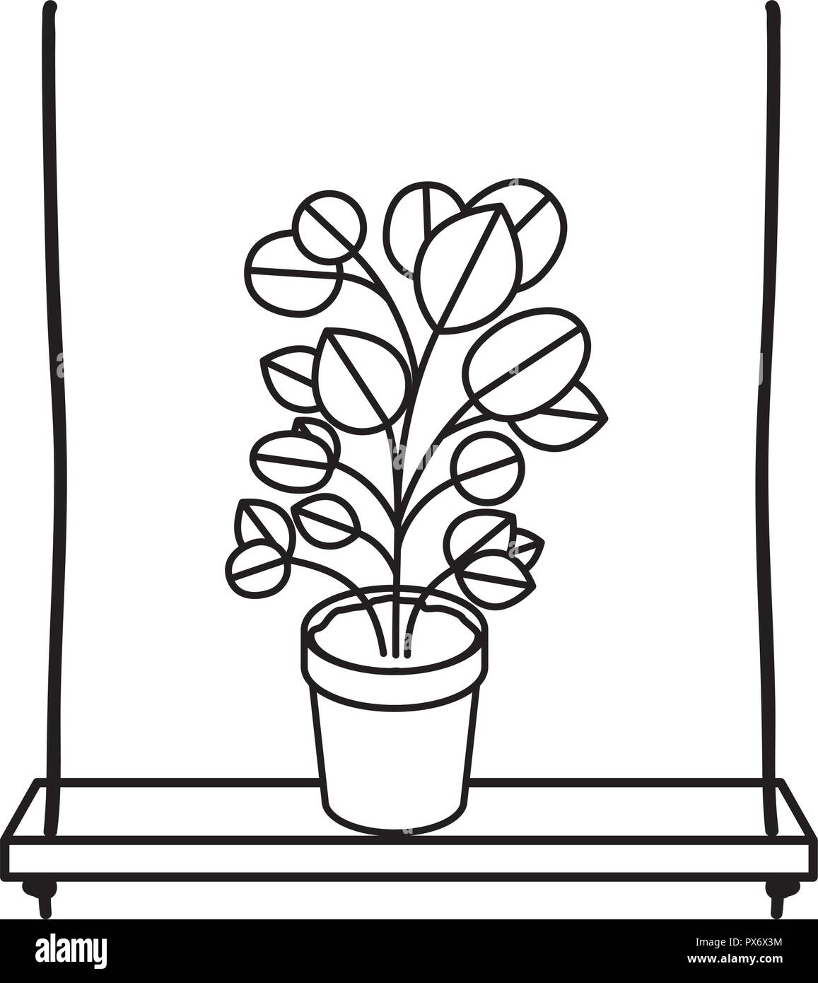 Growing home plants gardening Black and White Stock Photos & Images - Alamy