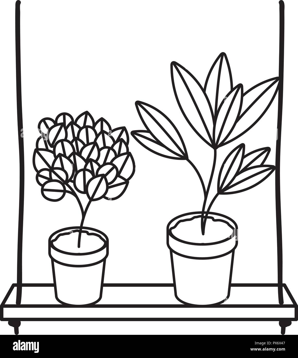 shelf plants isolated icon Stock Vector Image & Art - Alamy