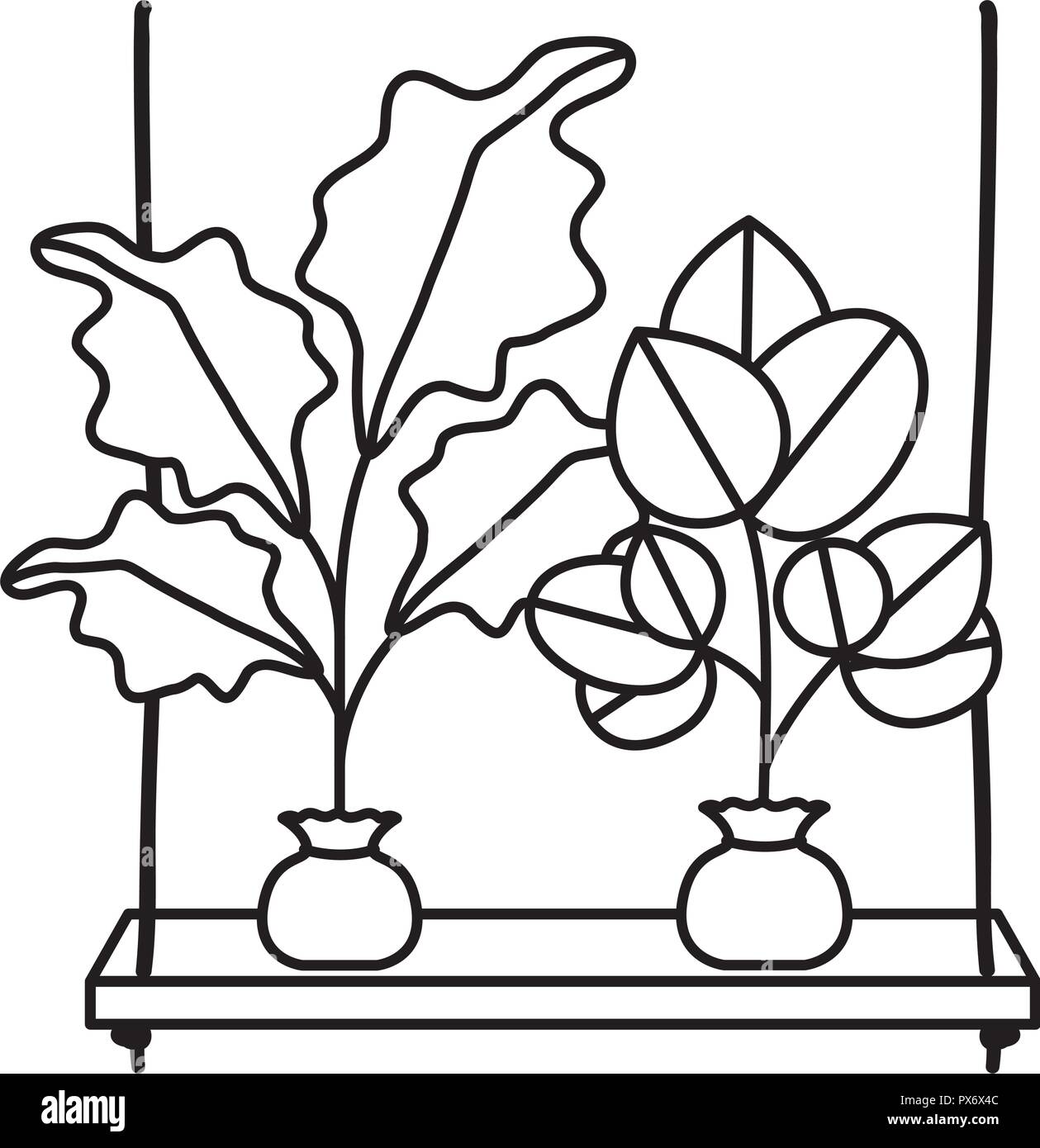 shelf plants isolated icon Stock Vector Image & Art - Alamy