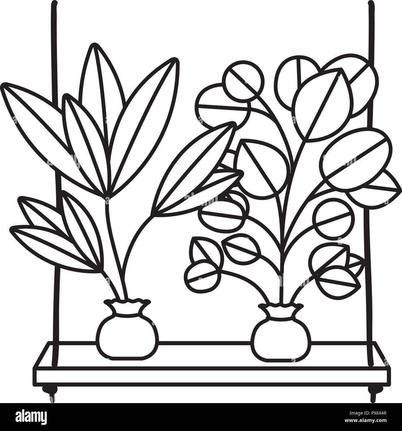 shelf plants isolated icon Stock Vector Image & Art - Alamy