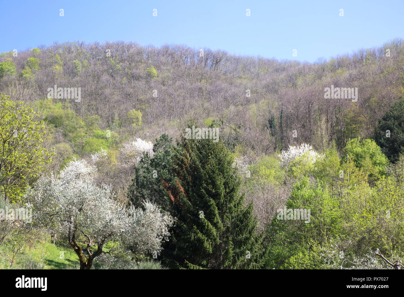 Early spring landscape in hi-res stock photography and images - Alamy