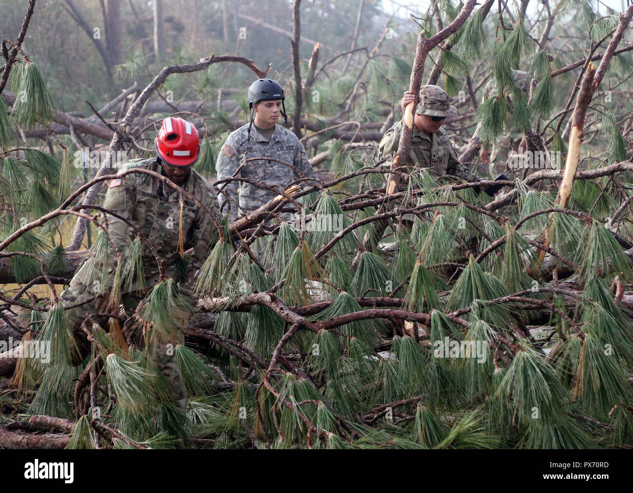Florida National Guardsmen navigate downed trees to check on residents ...