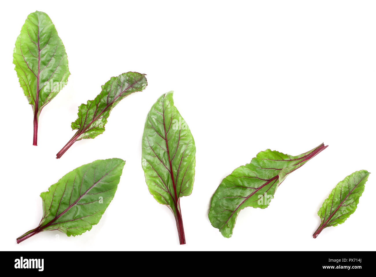 fresh beet leaf isolated on white background. Top view. Flat lay ...
