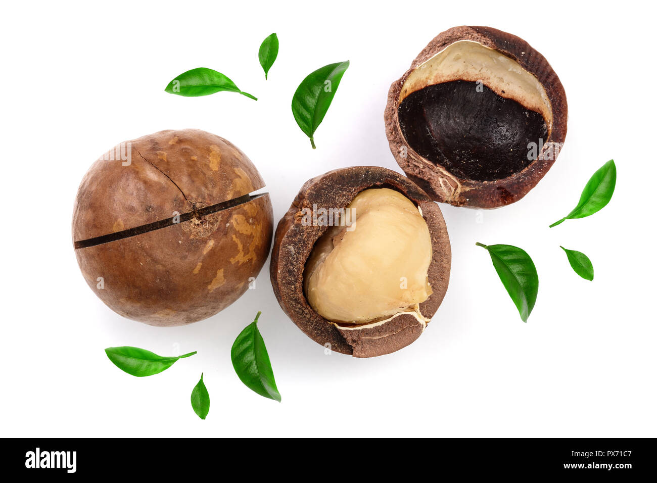 Shelled and unshelled macadamia nuts isolated on white background. Top ...