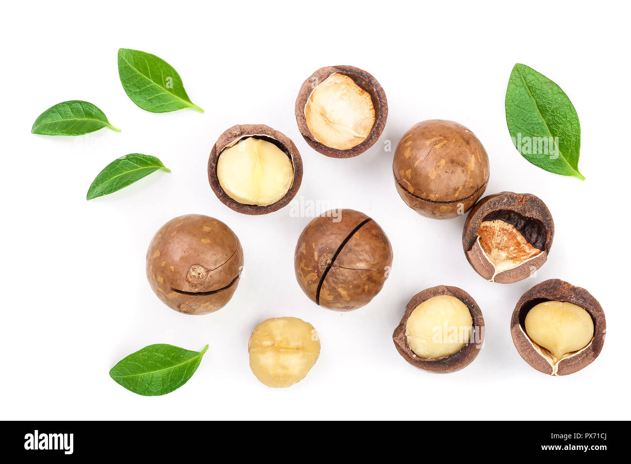 Shelled and unshelled macadamia nuts with leaves isolated on white ...