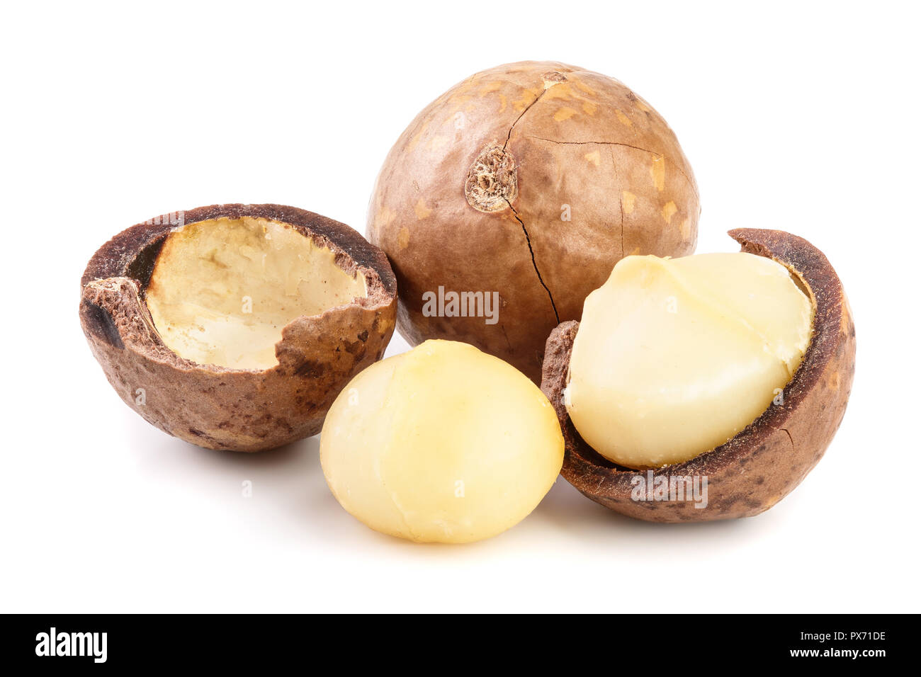 Shelled and unshelled macadamia nuts isolated on white background Stock ...