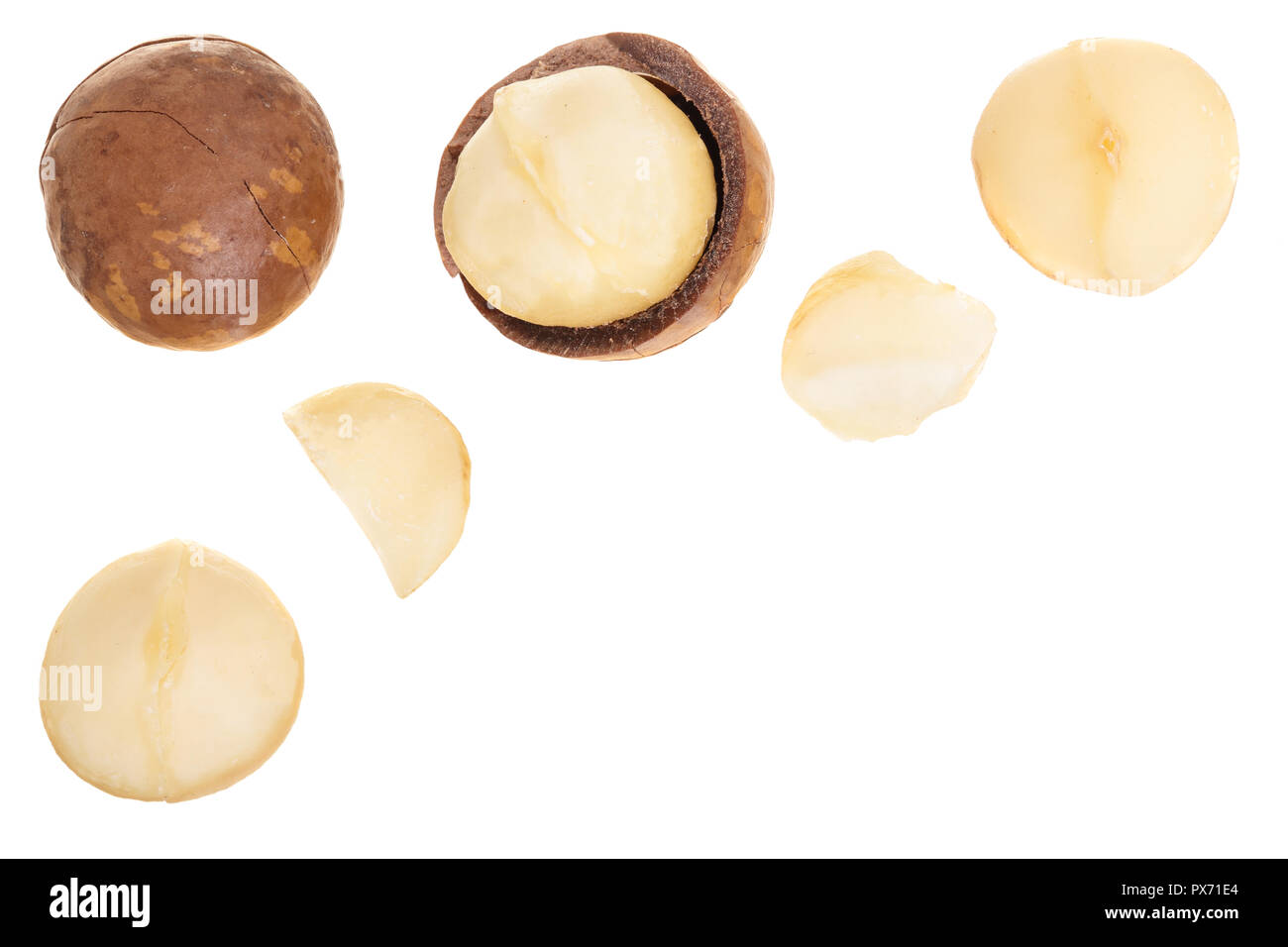 Shelled and unshelled macadamia nuts isolated on white background with ...