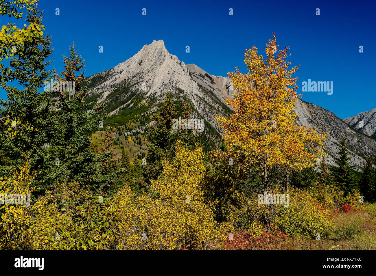 Kananaskis hi-res stock photography and images - Alamy