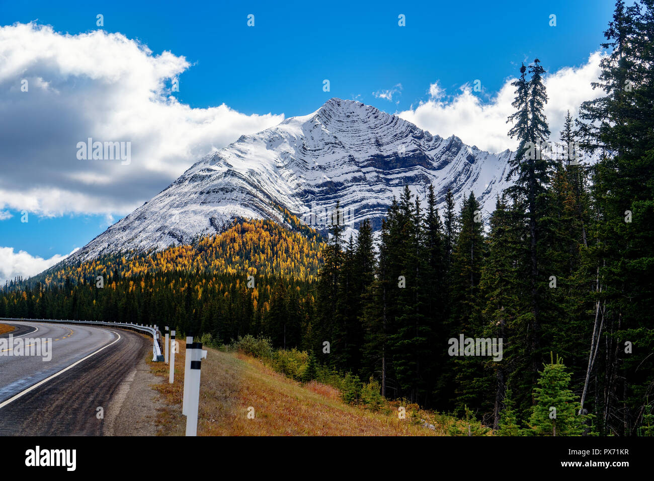 Fall in alberta hi-res stock photography and images - Alamy