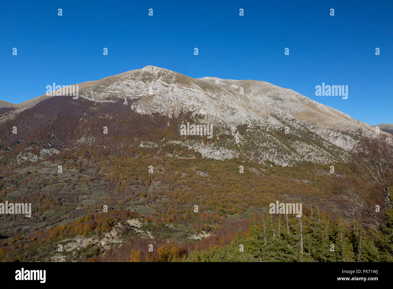 Marsicano hi-res stock photography and images - Alamy