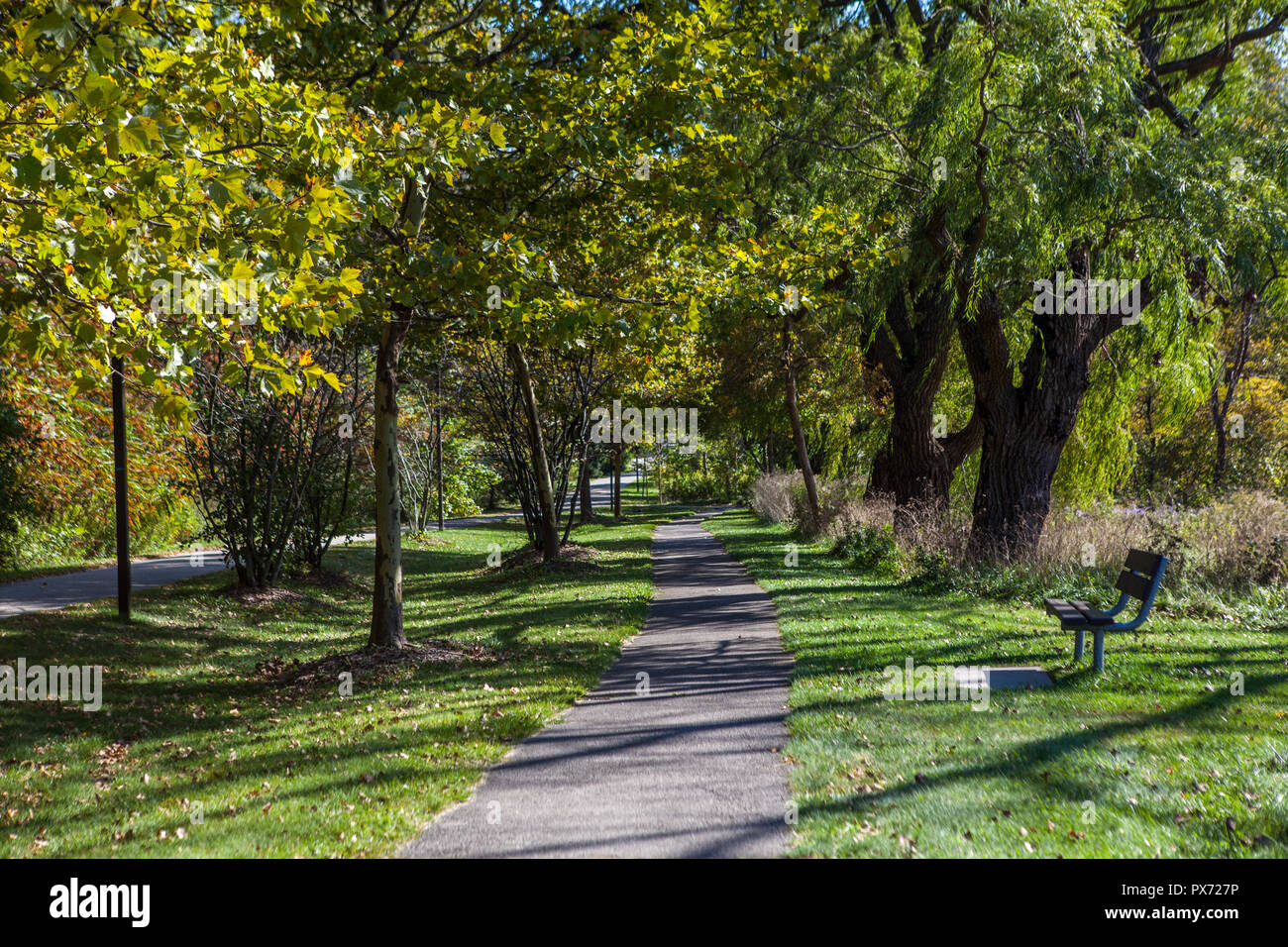 Hamilton, CANADA - October 16, 2018: colorful sunny autumn full of ...