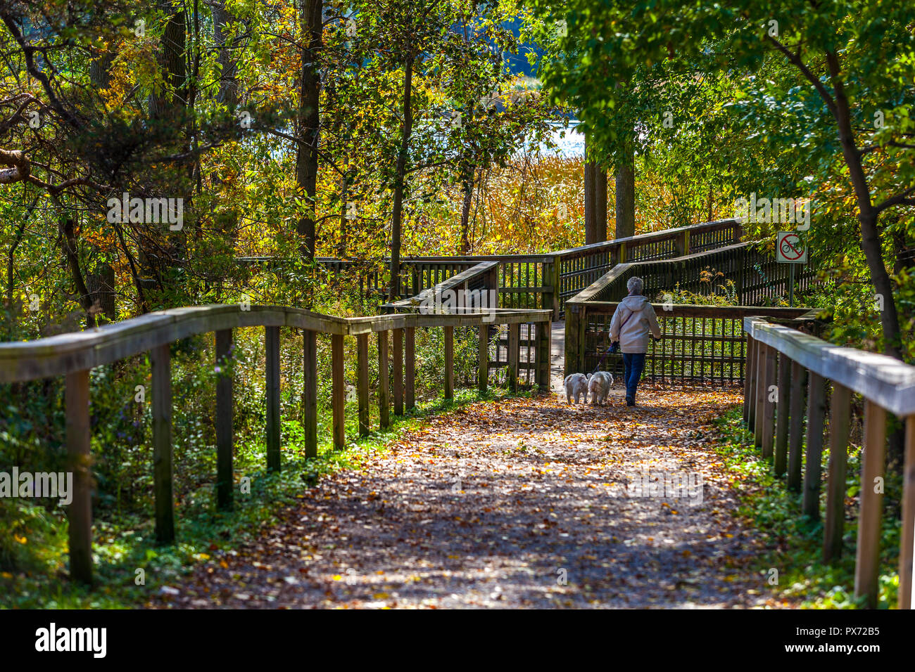 Hamilton, CANADA - October 16, 2018: colorful sunny autumn full of ...