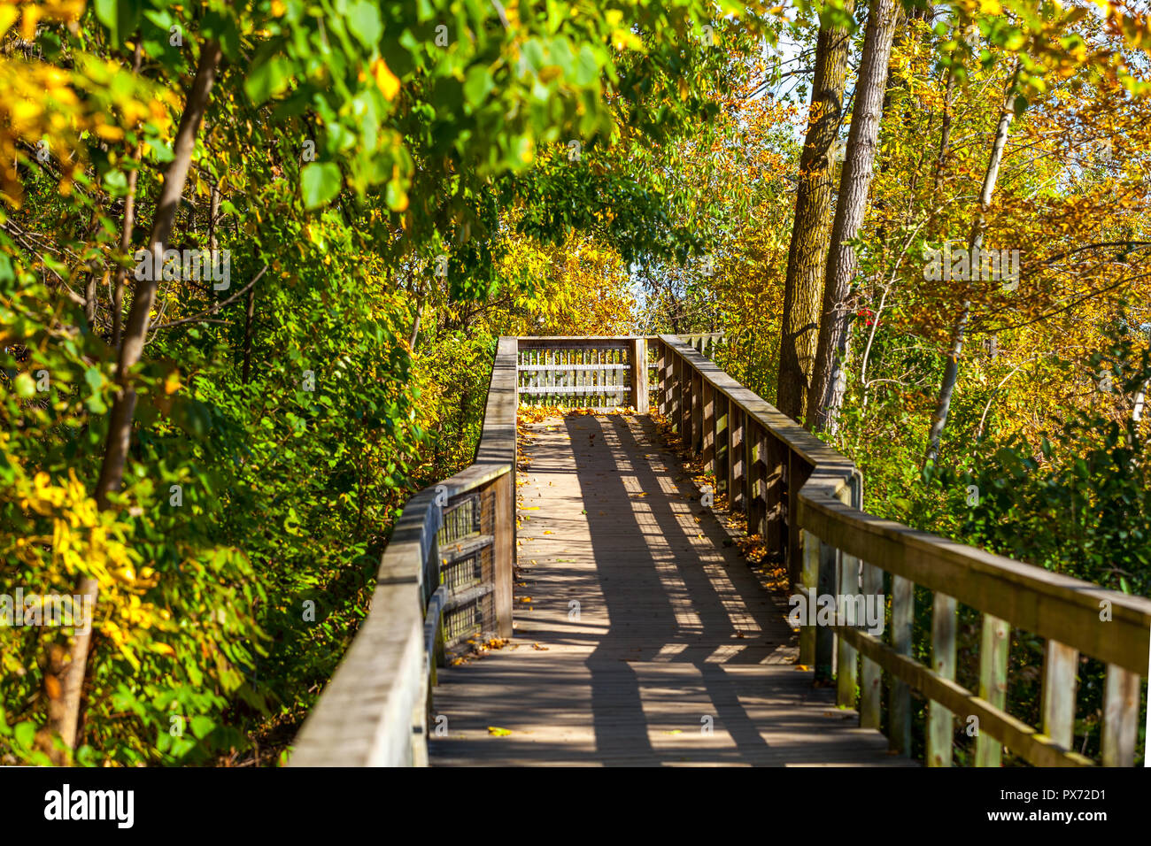 Hamilton, CANADA - October 16, 2018: colorful sunny autumn full of ...