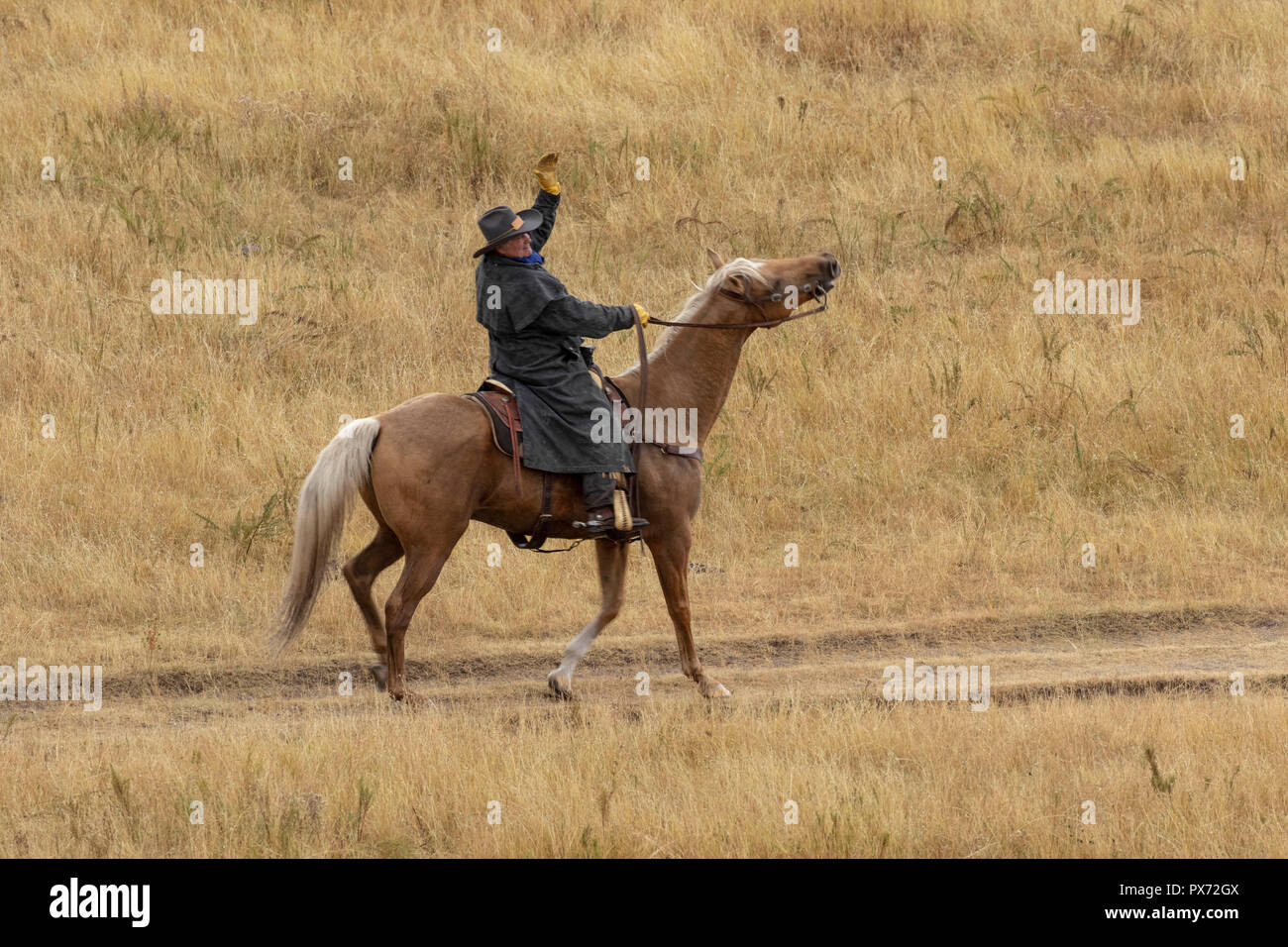 Cowboys in South Dakota Stock Photo - Alamy