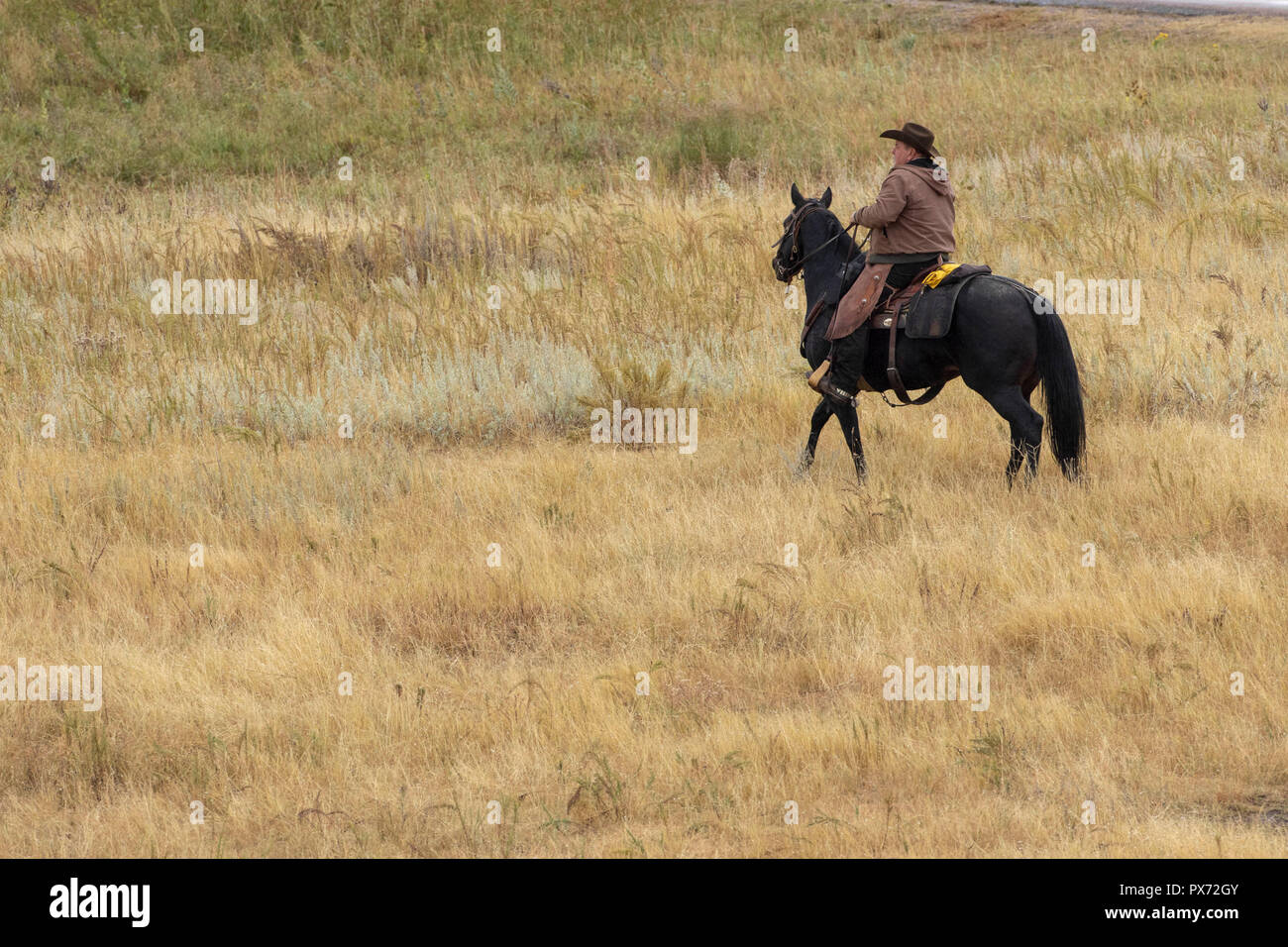 Cowboys in South Dakota Stock Photo - Alamy