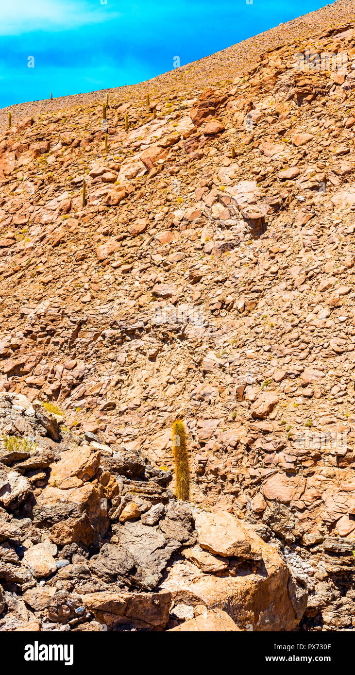 Landscape in Atacama desert, Chile. Copy space for text. Vertical Stock ...
