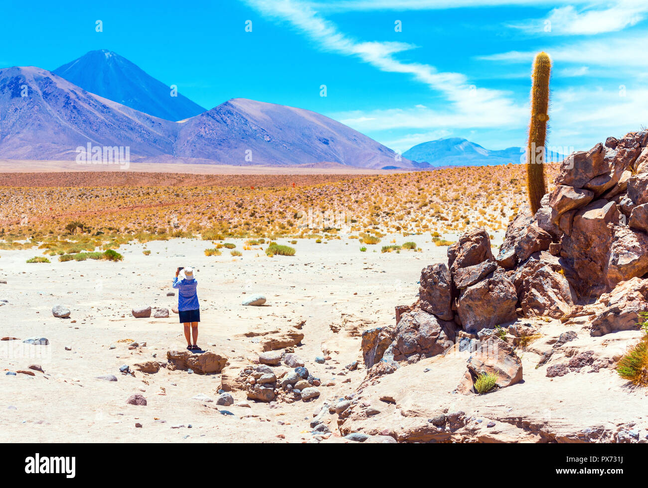 Landscape in Atacama desert, Chile. Copy space for text Stock Photo - Alamy
