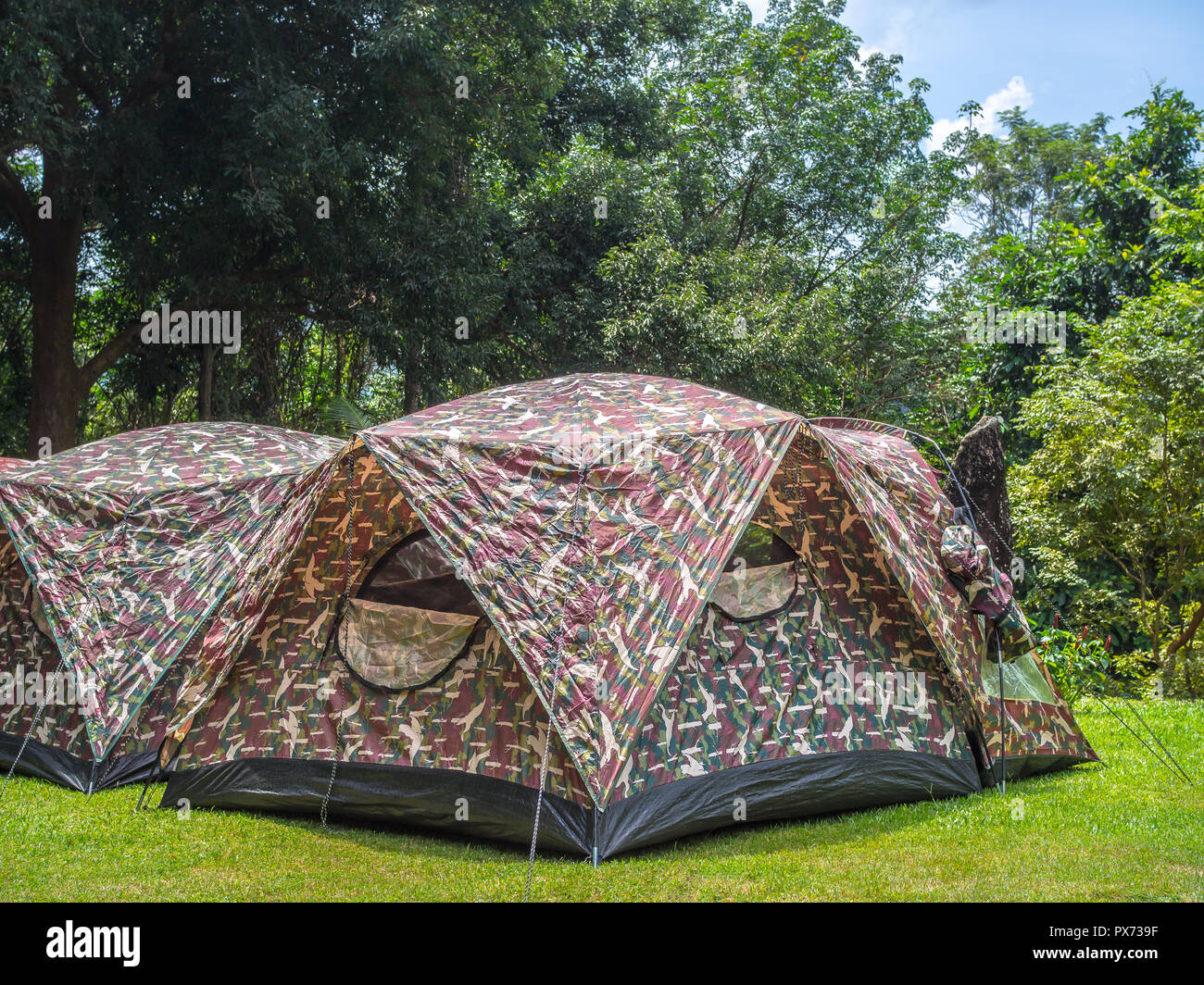 Family camping under trees hi-res stock photography and images - Alamy