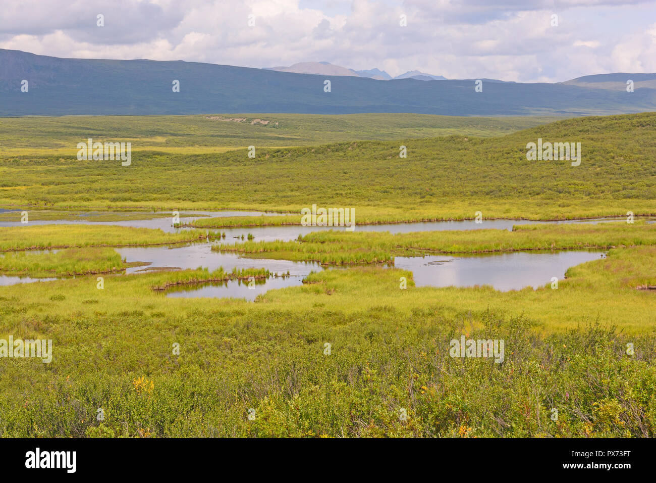 Tundra Pond in the Wilderness along the Denali Highway in Alaska Stock ...