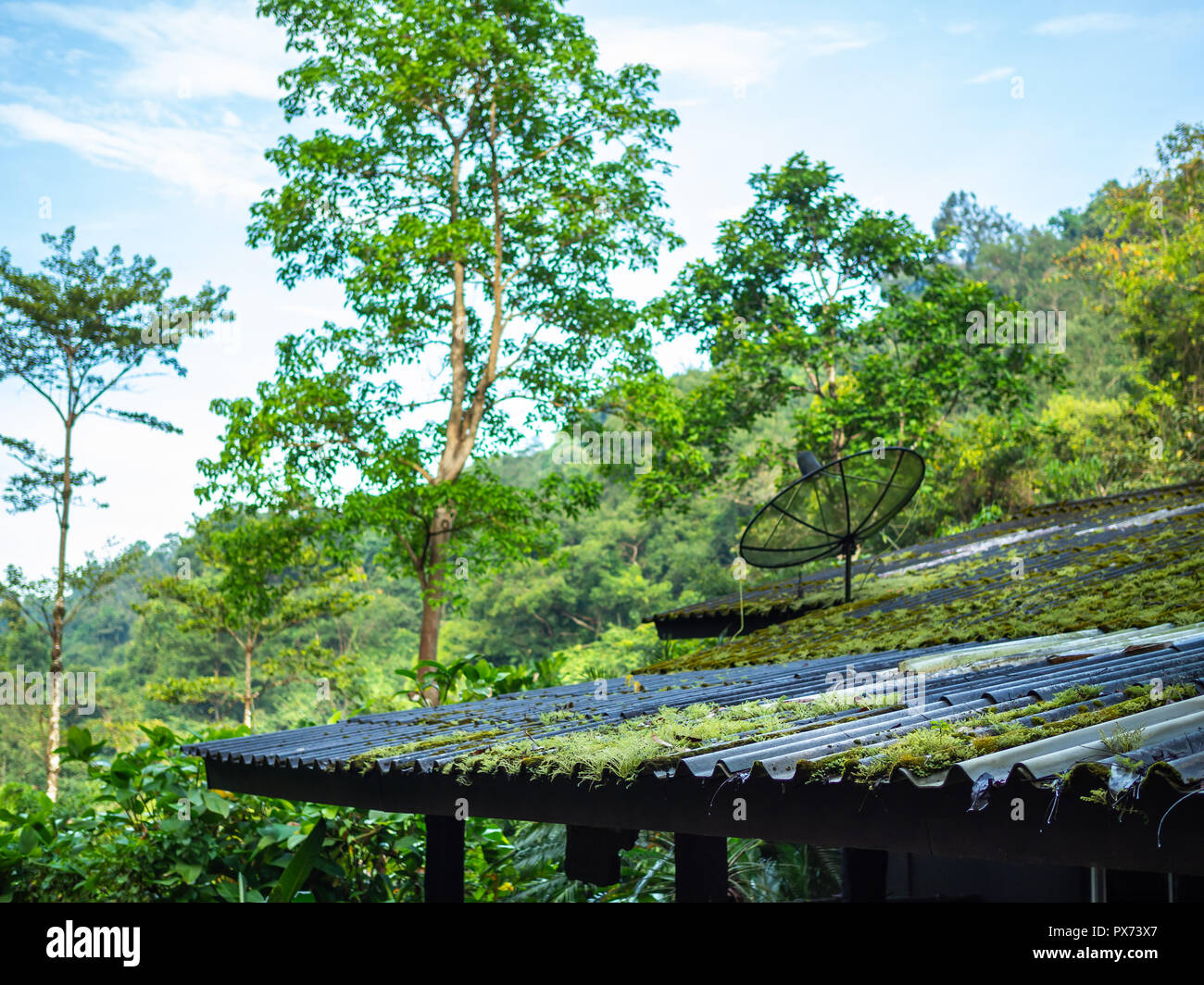 Satellite on the old roof covered by moss in the rainforest jungle near ...