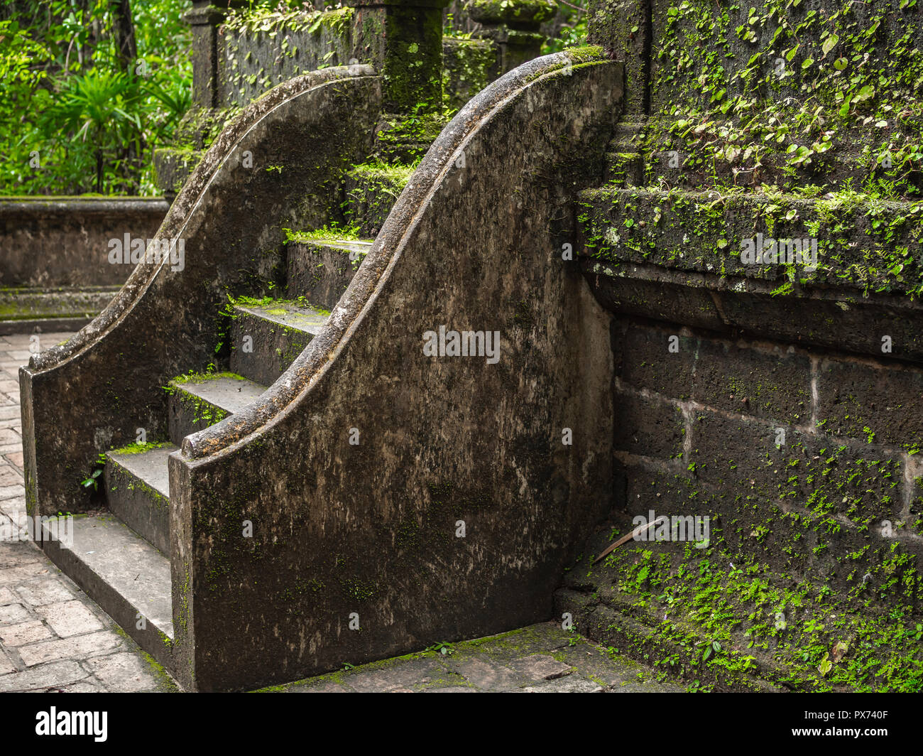 Moss covered overgrown stairs hi-res stock photography and images - Alamy