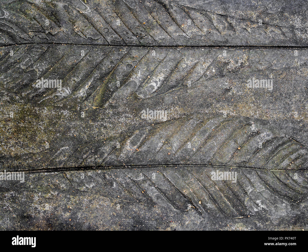 Leaves Stamp Pattern On Concrete Floor. Leaf stamp texture on cement ...