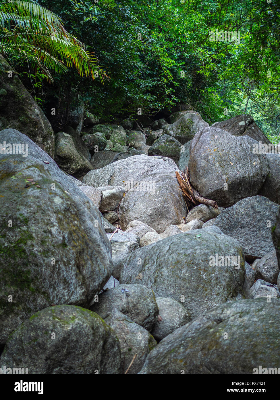 Green moss covered stones in rainforest. Piles of Many waterfall stones ...