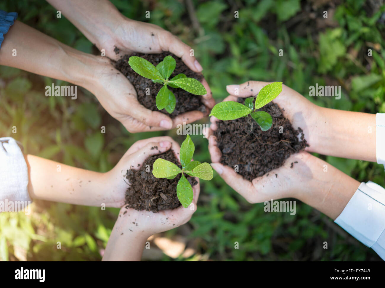 People hand group planting a seed in soil agriculture on natural green ...