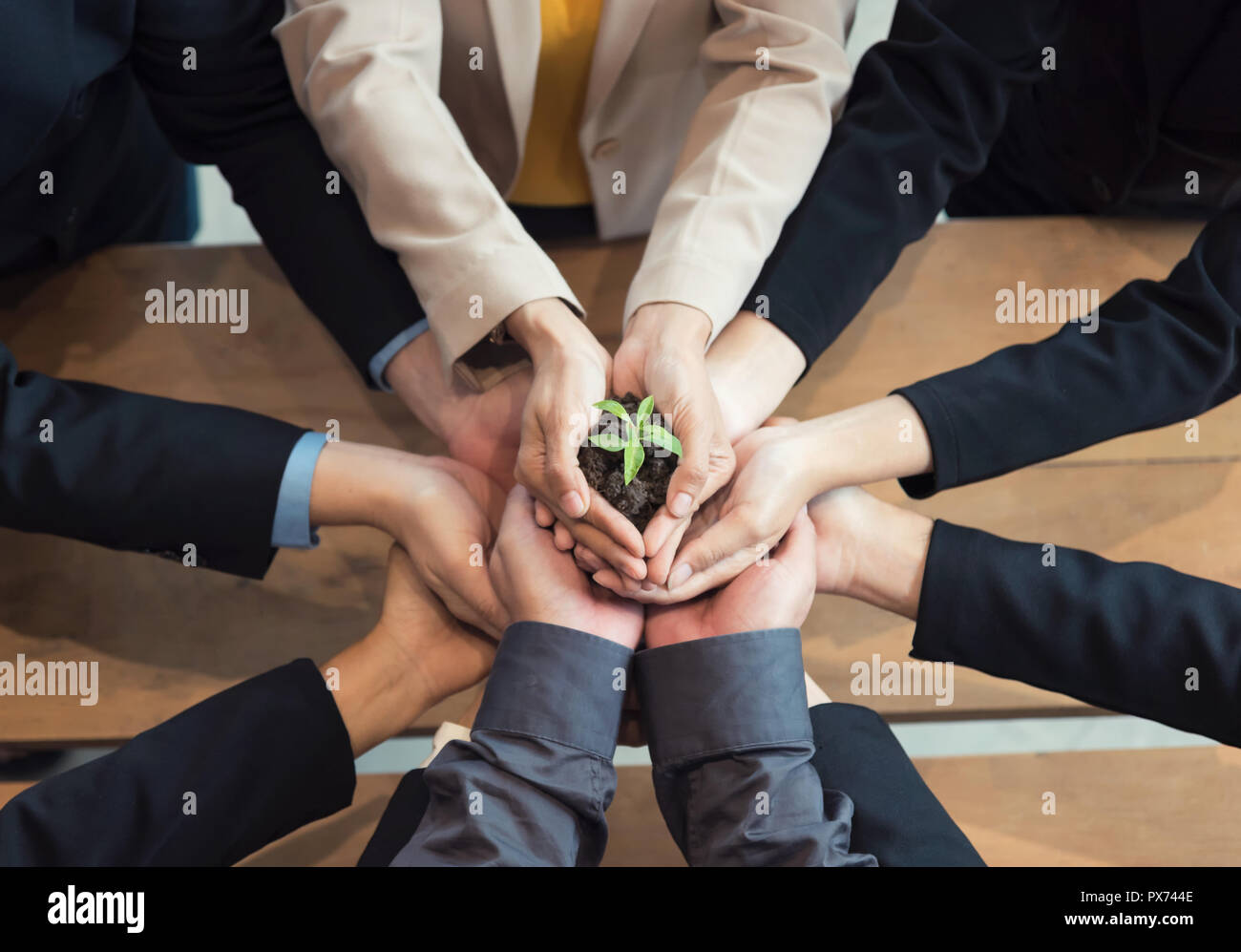 Workplace unity hi-res stock photography and images - Alamy