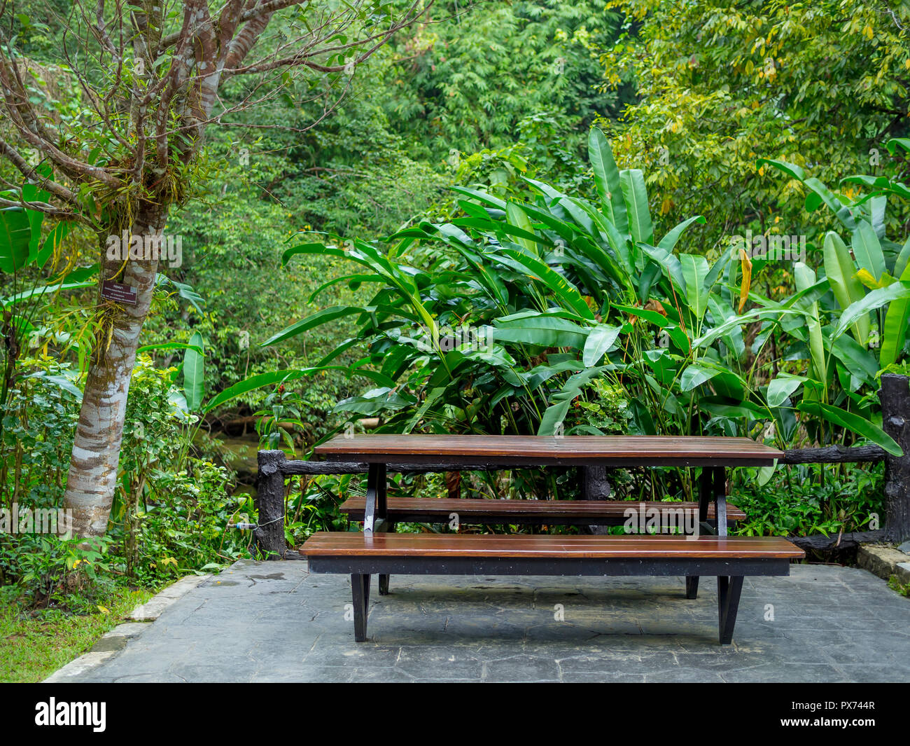 Standard outdoor table with benches on tropical rainforest background ...