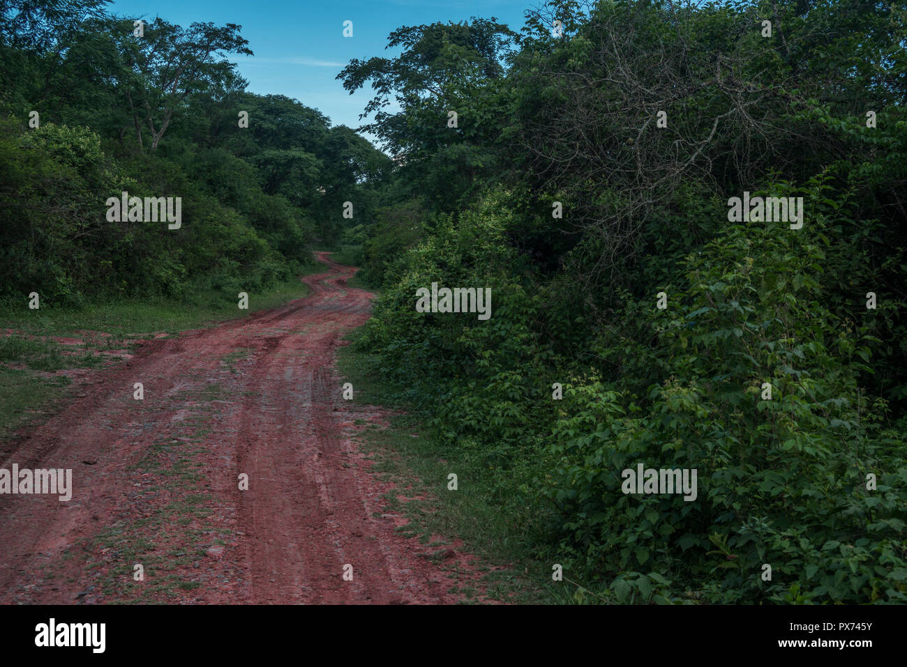 Zigzagging path hi-res stock photography and images - Alamy