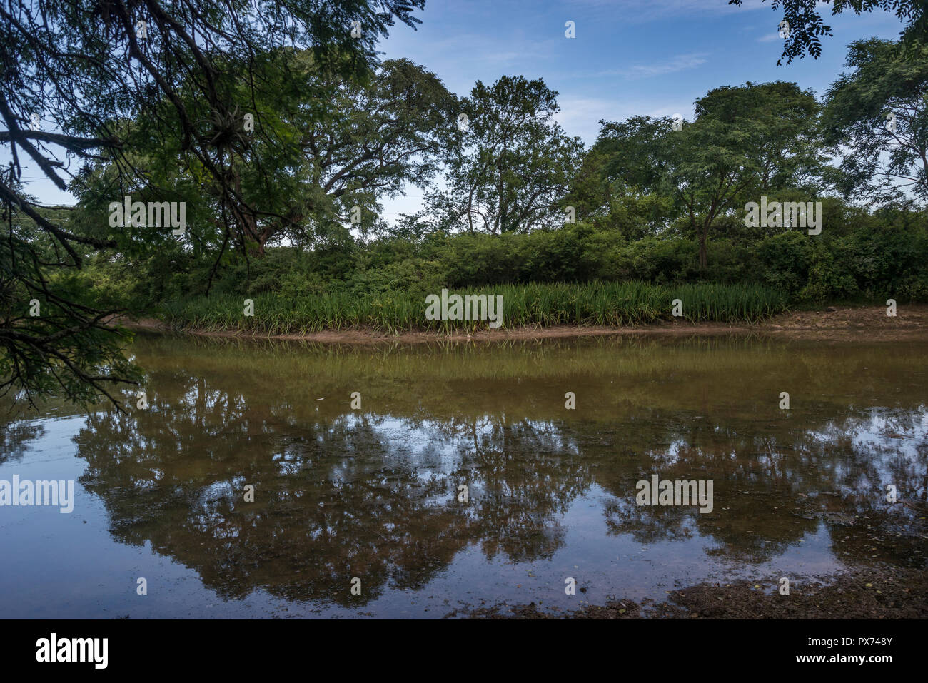 Green waters small lagoon hi-res stock photography and images - Alamy