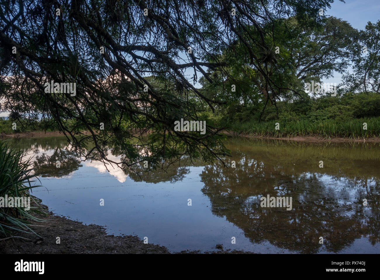 Green waters small lagoon hi-res stock photography and images - Alamy