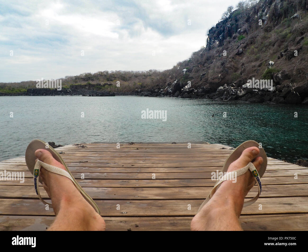 Muelle bay hi-res stock photography and images - Alamy