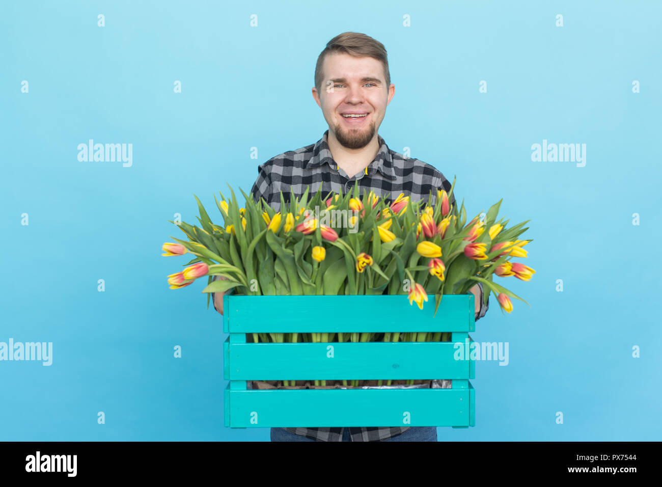 Caucasian male gardener with box of tulips laughing on blue background ...