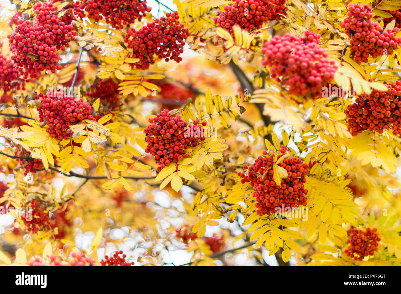 Overall floor plan hi-res stock photography and images - Alamy