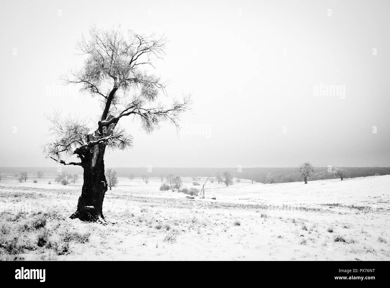 Death by snow Black and White Stock Photos & Images - Alamy
