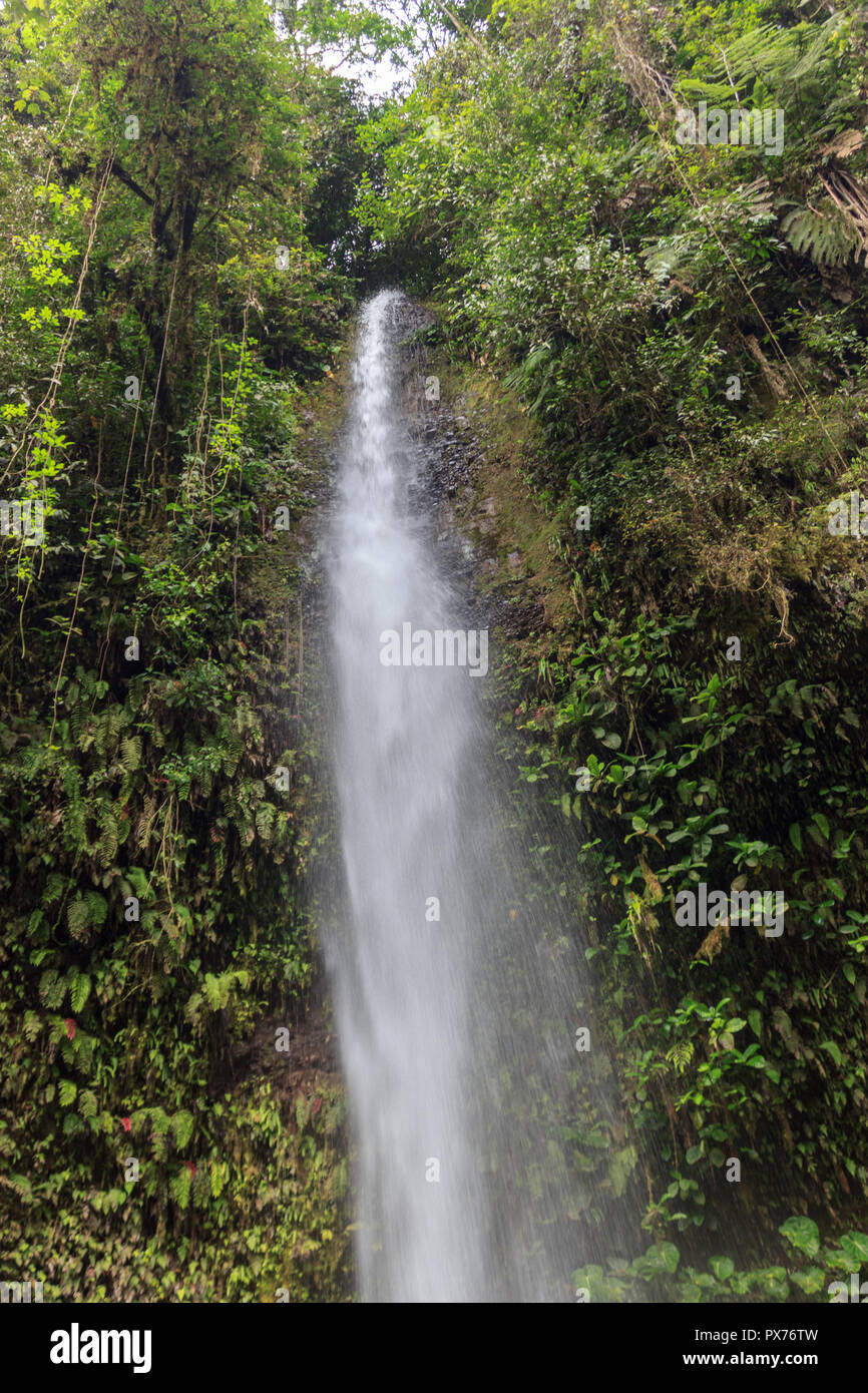 Cascada ecuador hi-res stock photography and images - Alamy